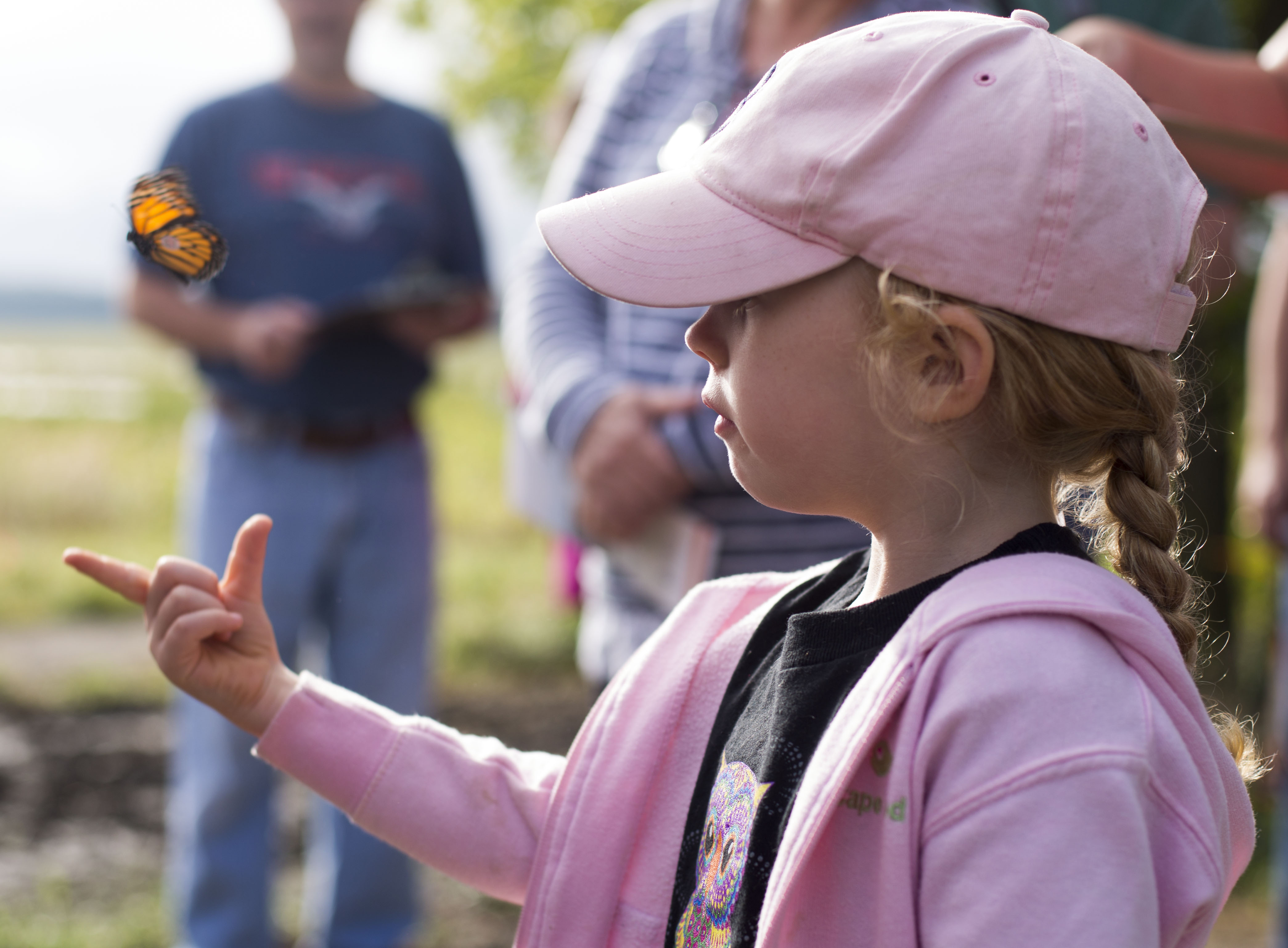 Monarch Watch tagging day sets record for participants | News, Sports ...